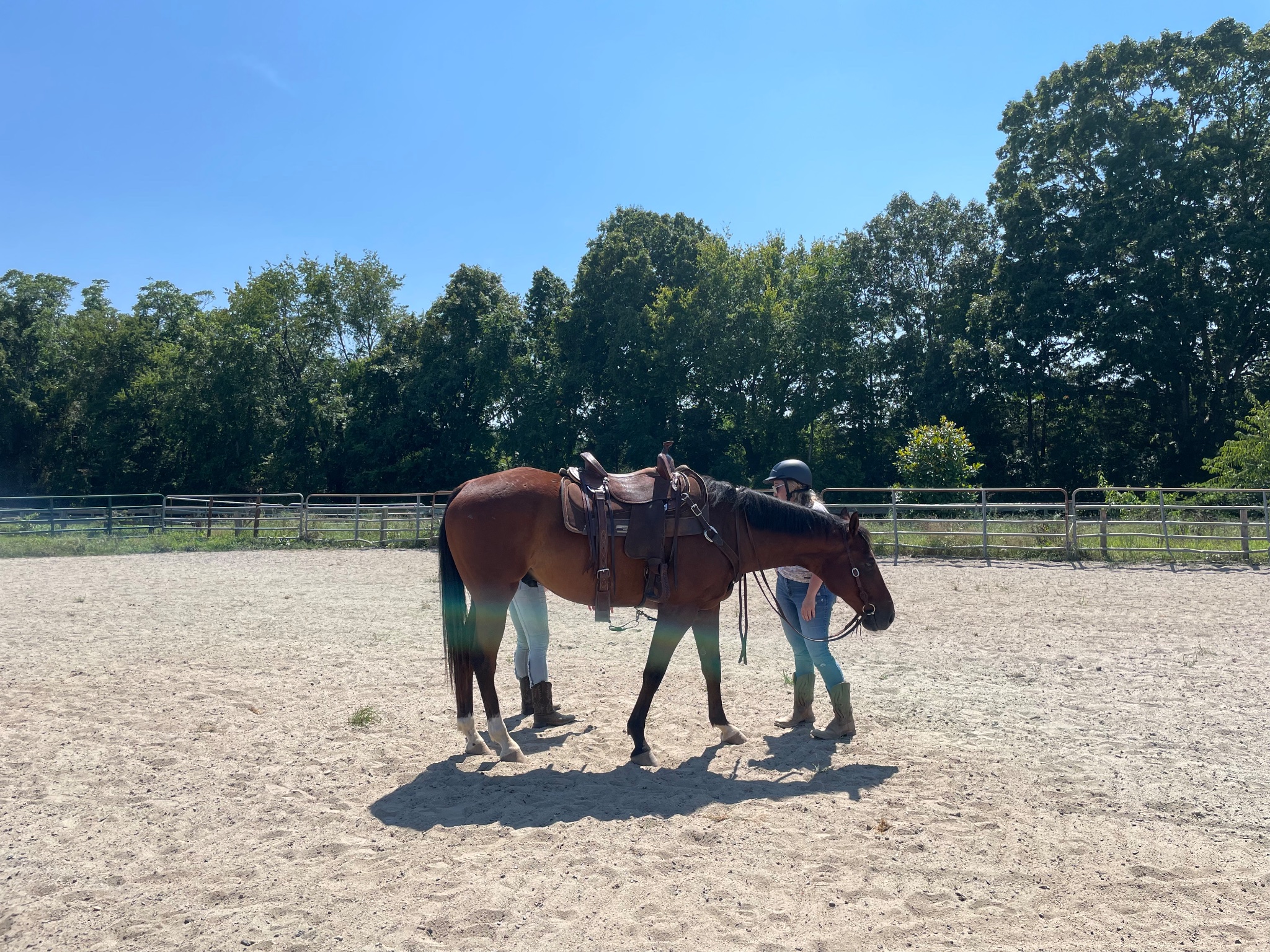 Not the Right Bike, Nor Horse – Software, Fitness, and Gaming – Jesse ...